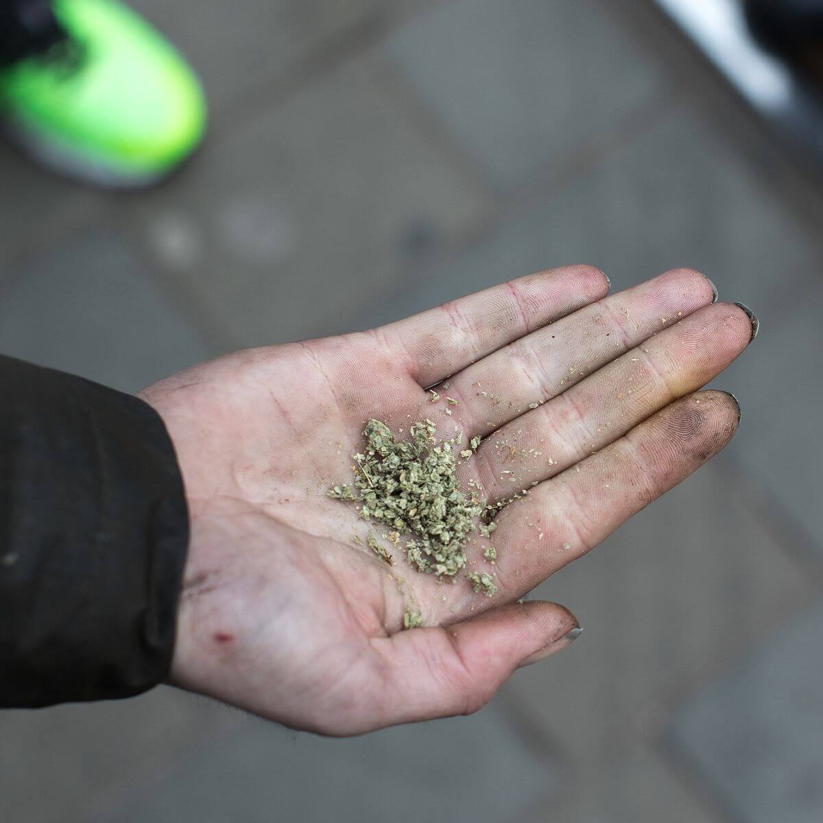 Alla scoperta delle spice drugs: una pericolosa evoluzione dello ...